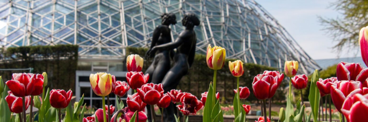 2025 Spring and Summer Festivals and Fairs in St Louis