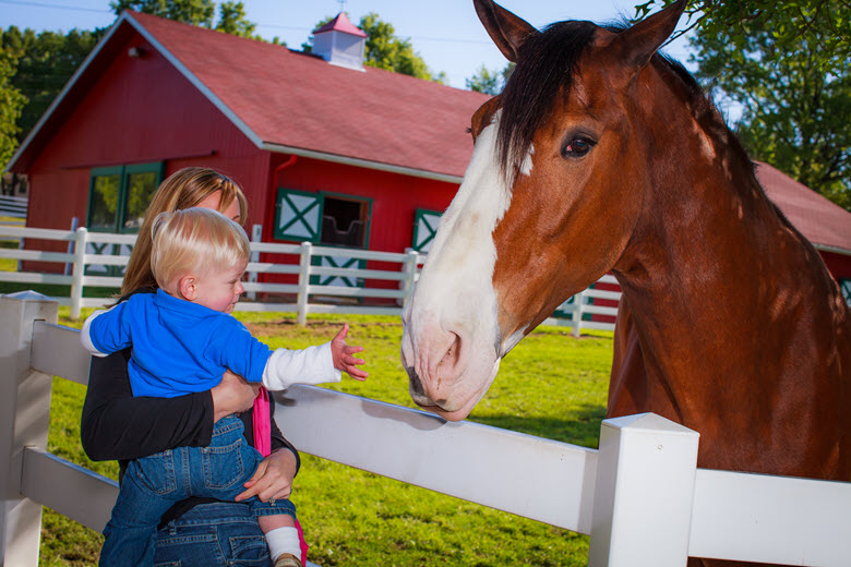 Grant's Farm - Explore St. Louis
