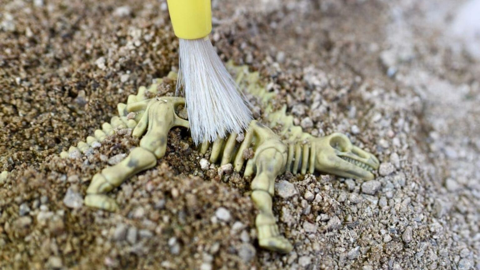 16 Kid-Approved Attractions in St. Louis