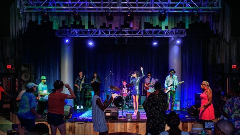 Experience Blues Music, Then and Now, at the National Blues Museum