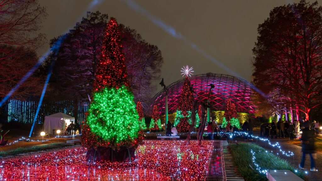 25 Days of Christmas in St Louis