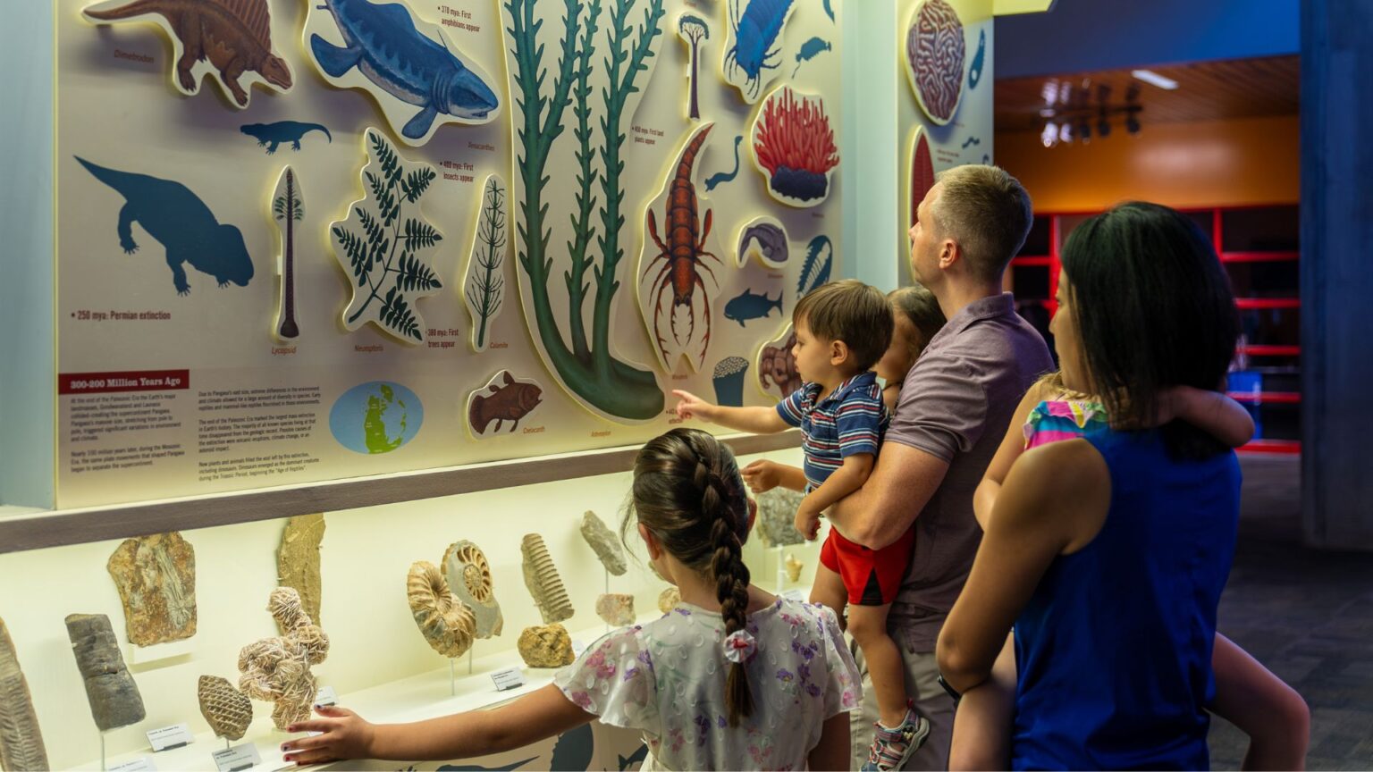 Explore Out-of-This-World Exhibits at the St Louis Science Center