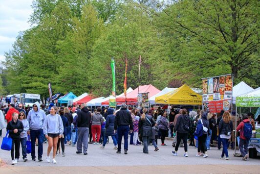 Free, Fun and Unforgettable Things to Do This Spring in St Louis