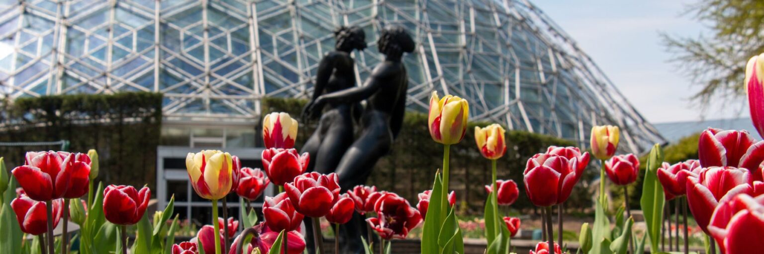 Free, Fun and Unforgettable Things to Do This Spring in St Louis