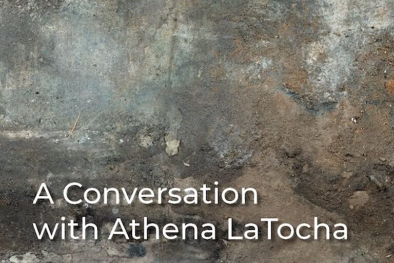 A Conversation with Artist Athena LaTocha - St Louis Events