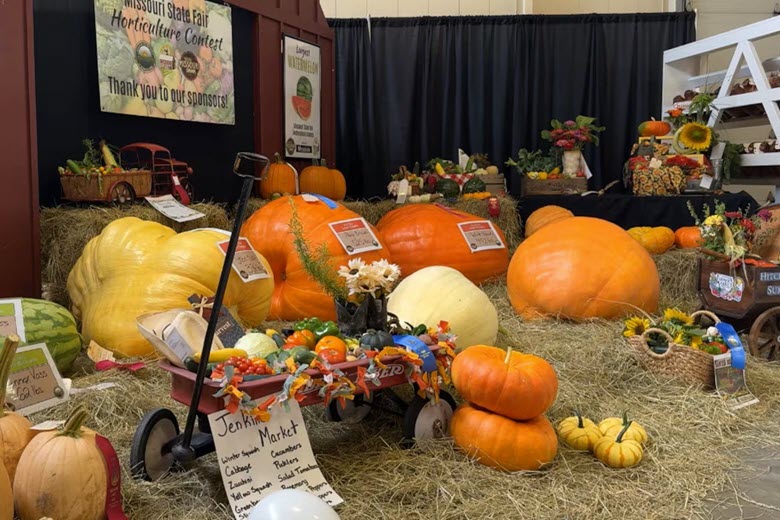 Oktoberfest in Soulard - St Louis Events